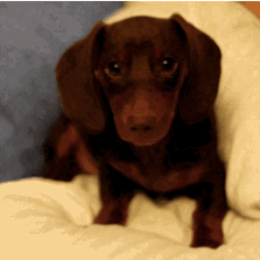 Animated zen images & Animations 100% FREE!