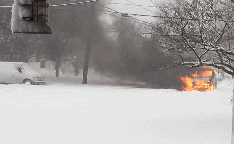 Animated blizzard images & Animations 100% FREE!