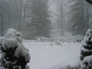 Animated blizzard images & Animations 100% FREE!