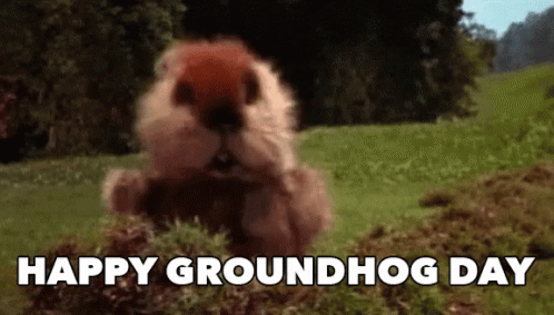 Animated groundhog images & Animations 100% FREE!
