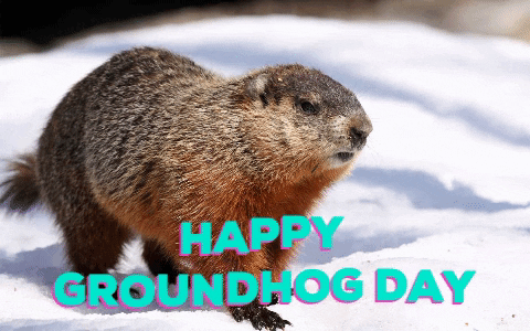 Animated groundhog images & Animations 100% FREE!